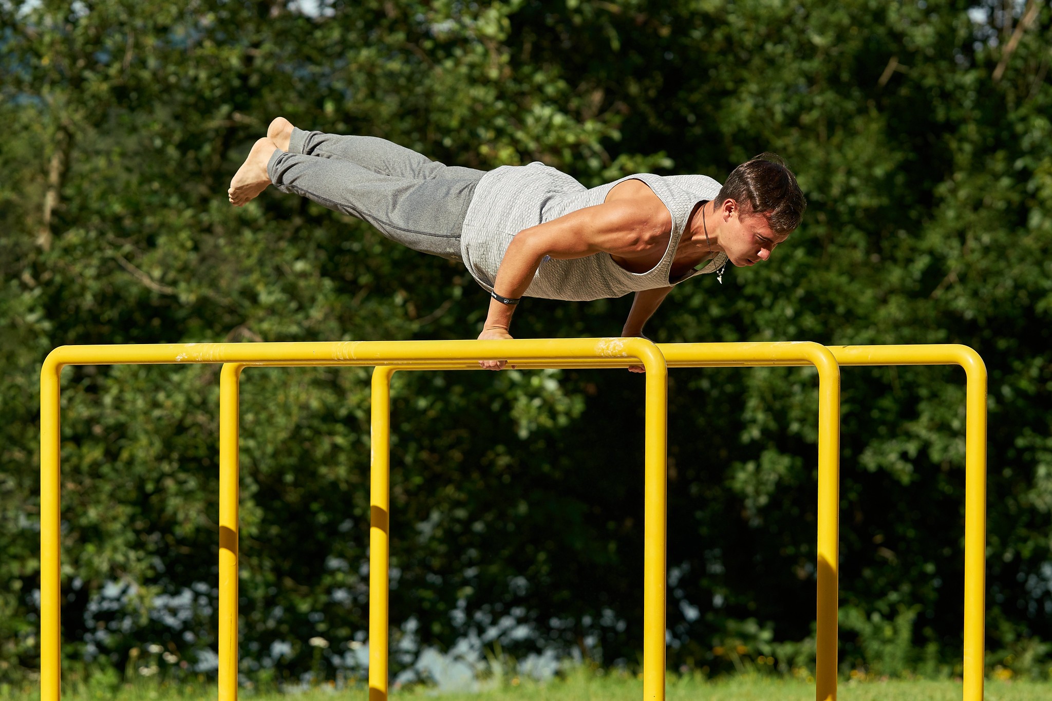 Full Planche Calisthenics : Maîtrise De 0 à Expert Avec 2 Programmes ...