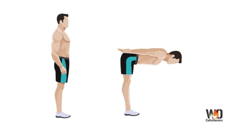 🔥 Exercices Dos Sans Matériel : 14 Exercices à La Maison Pour Un Dos De ...